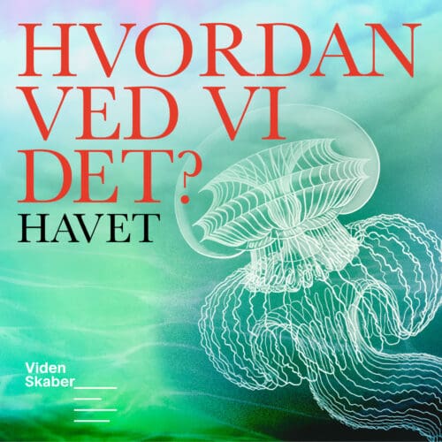 Hvordan lever vi med havet? Nyt samarbejde søger svar langs Danmarks ...